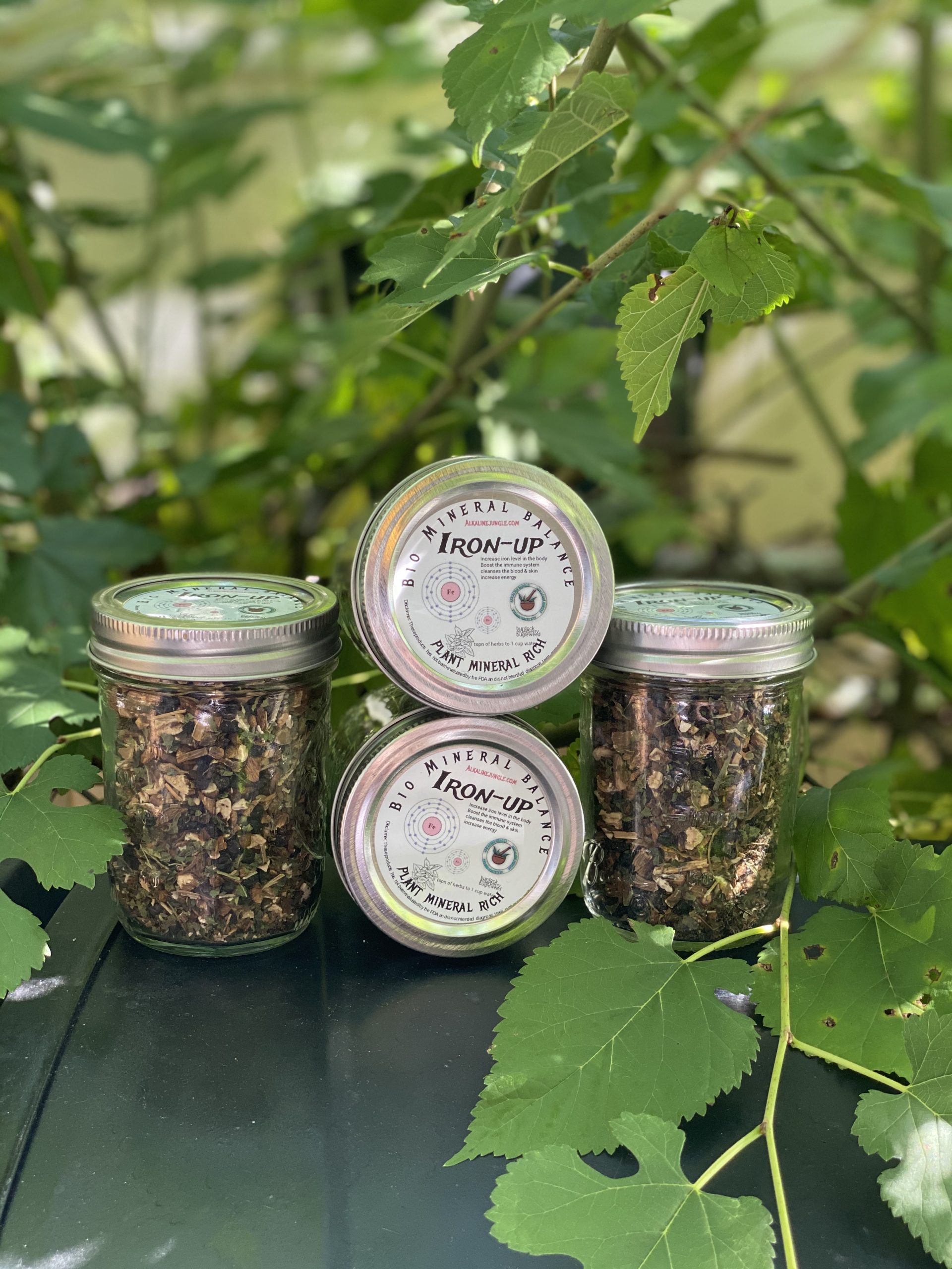 IRON -UP Tea – ALKALINE JUNGLE